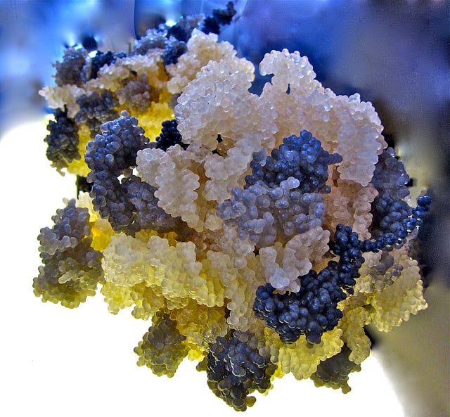 Why SDS is a Necessary Evil in PAGE