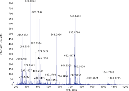 Spotting Fragmentation Patterns When Using Mass Spectrometry