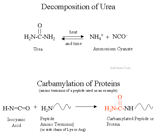 Preventing Carbamylation When Using Urea as a Protein Solubilization Buffer