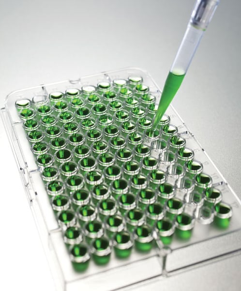 Three most common ELISA Challenges