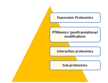 SILAC: A General Workflow for Improved Mass Spectrometry