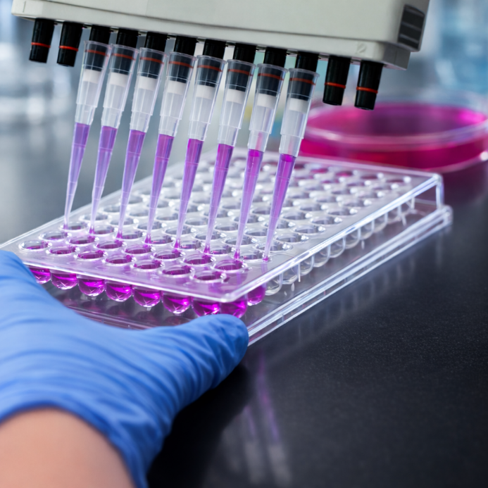 Enzyme-Linked Immunosorbent Assay (ELISA): Key Considerations for ...