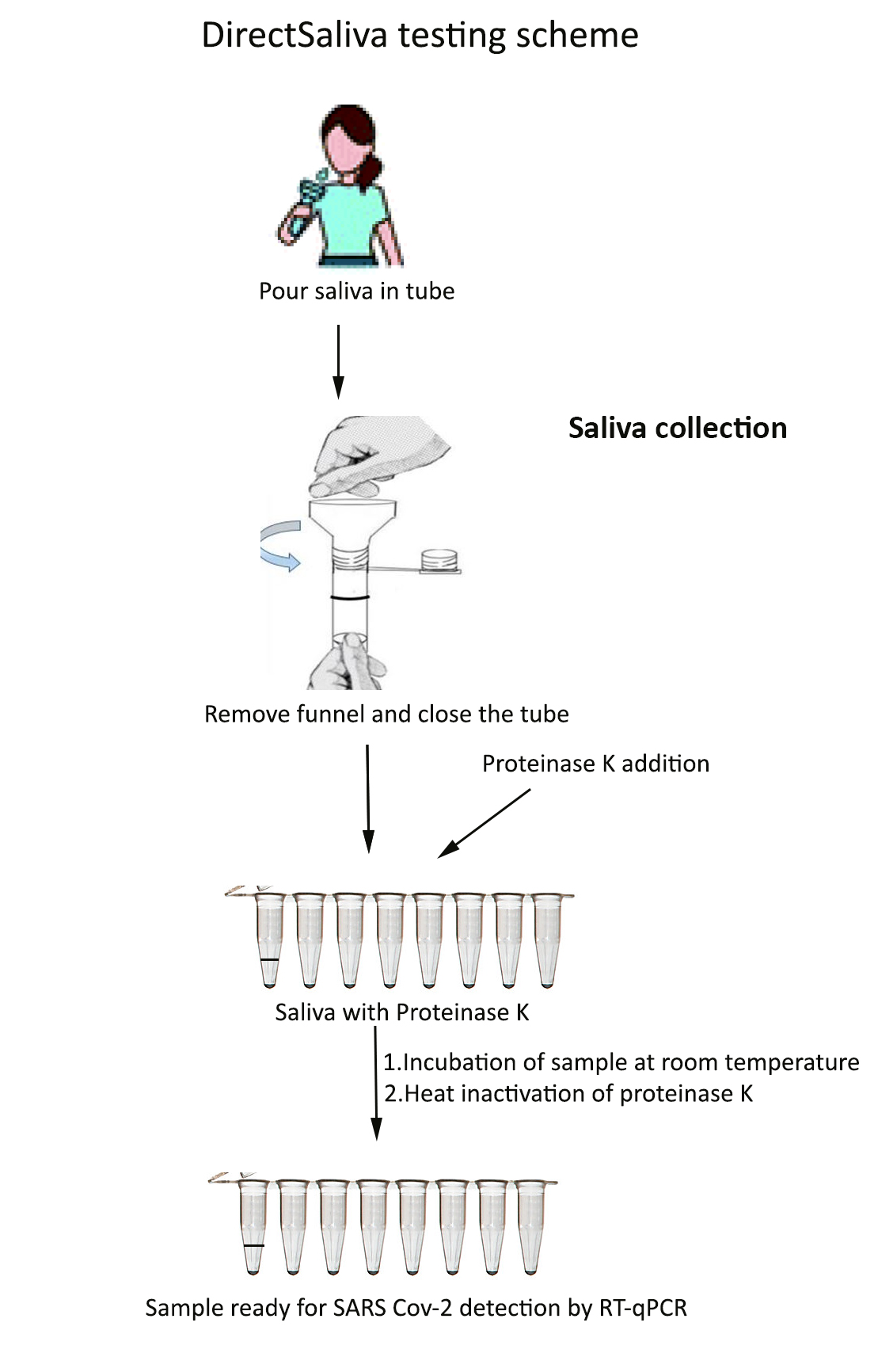 Why Are You Scratching My Brain? Rapid, Extraction Free SARS CoV-2 ...